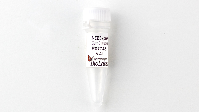 Benzonase Nuclease | New England Biolabs | Bioz