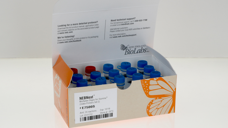 Nebnext® Multiplex Oligos For Illumina® Index Primers Set 4 Neb