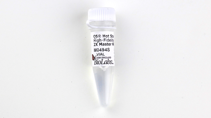 LongAmp® Hot Start Taq 2X Master Mix | NEB