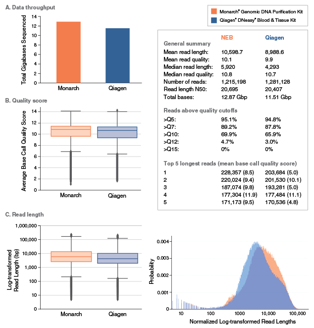 Genomic DNA (gDNA) Extraction and Purification | NEB