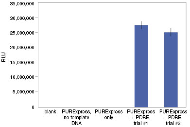 PURExpress® Disulfide Bond Enhancer | NEB