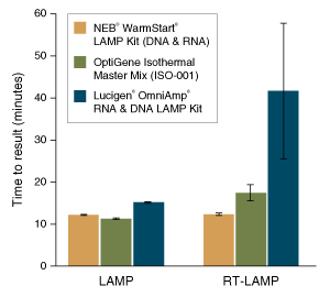 WarmStart® LAMP Kit (DNA & RNA) | NEB
