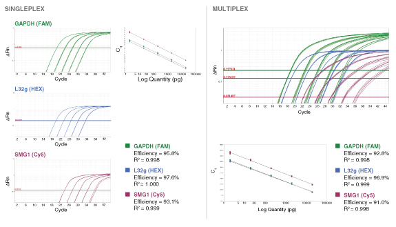 Luna® Universal Probe qPCR Master Mix | NEB