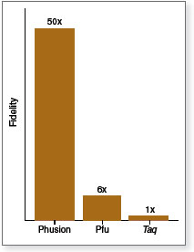Phusion® High-Fidelity PCR Kit | NEB