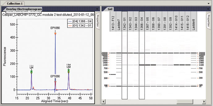 Understanding Variability in DNA Amplification Reactions | NEB