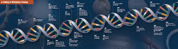 Foundations of Molecular Cloning - Past, Present and Future | NEB