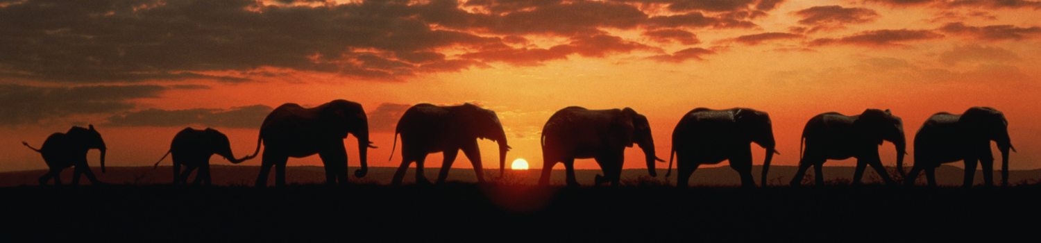 DNA Assembly Sample Kit Request Form | NEB