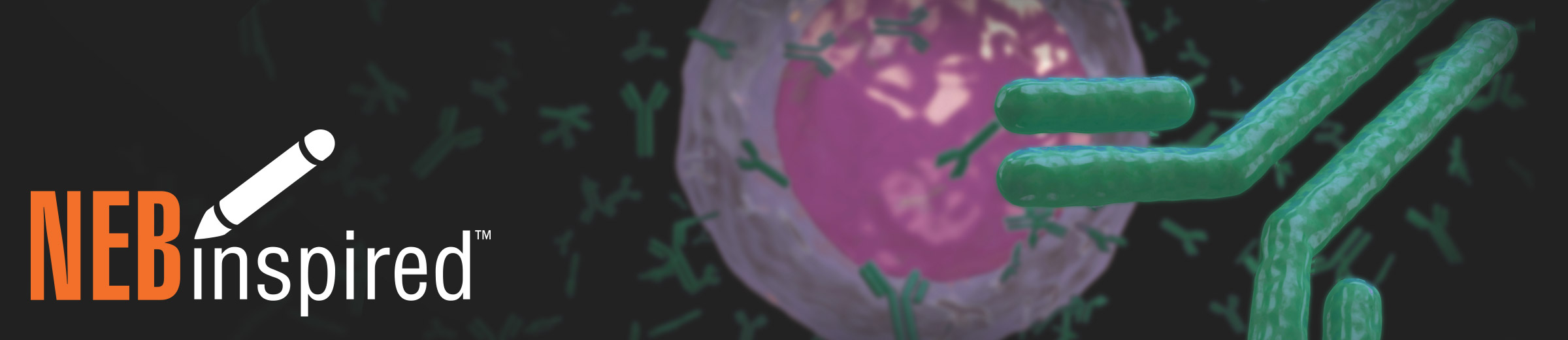 Using large-scale RNA sequencing to probe immune response | NEB