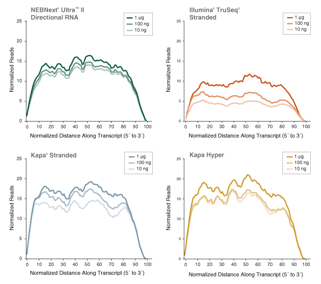NEBNext® Ultra™ II Directional RNA Library Prep - Maximizing Transcript ...
