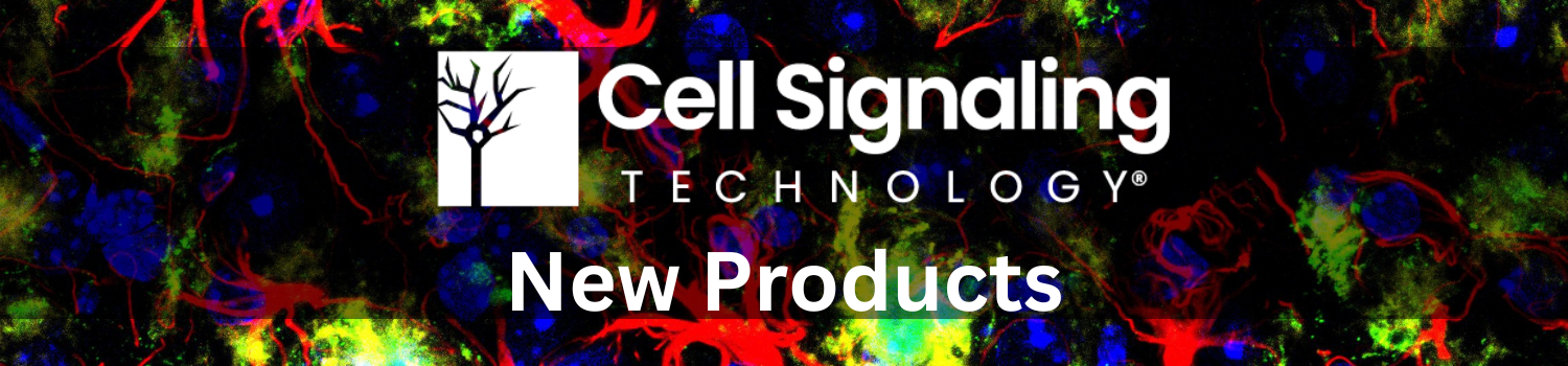 New CST Products | NEB