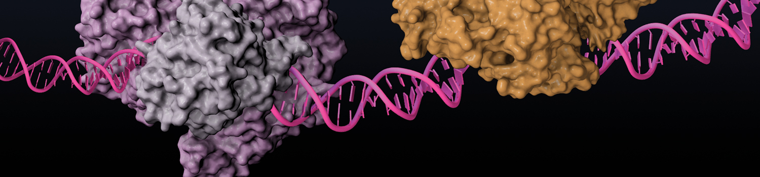 Protein Labeling | NEB