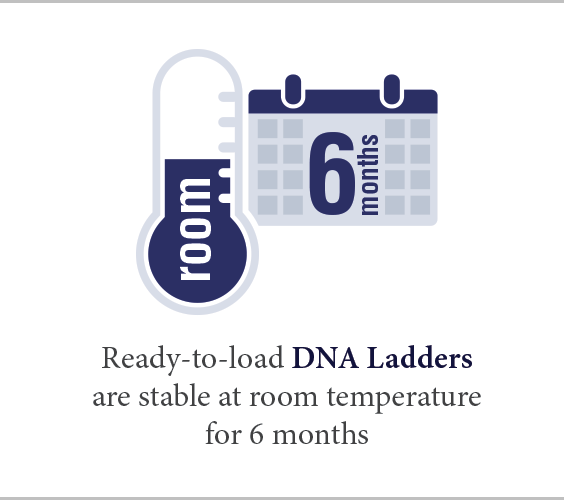 Quick-Load Purple DNA Ladders | NEB