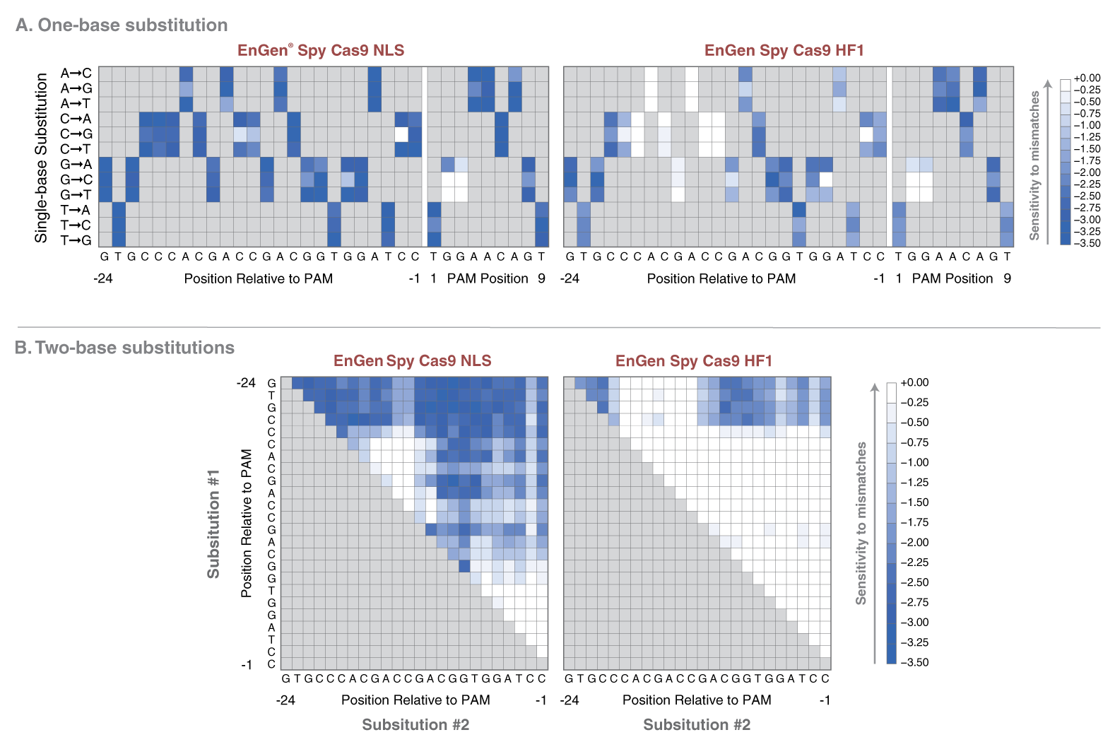 EnGen® Spy Cas9 HF1 | NEB