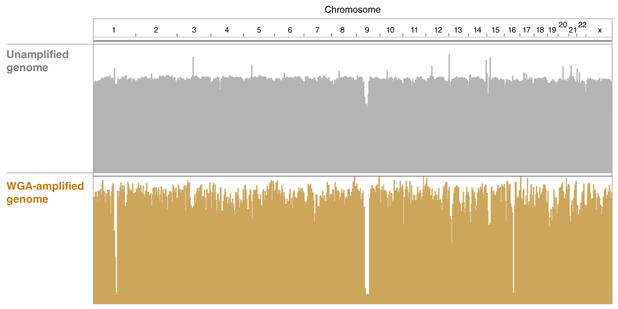 phi29-XT WGA Kit | NEB