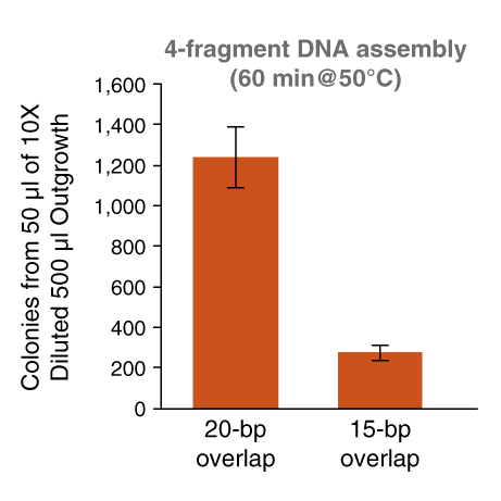 How does overlap length affect NEBuilder HiFi DNA Assembly efficiency ...