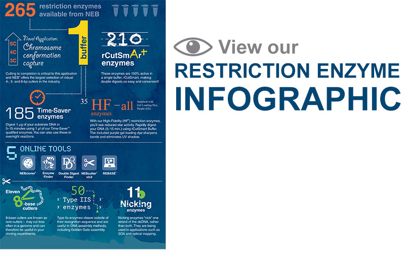 Restriction Endonucleases | NEB
