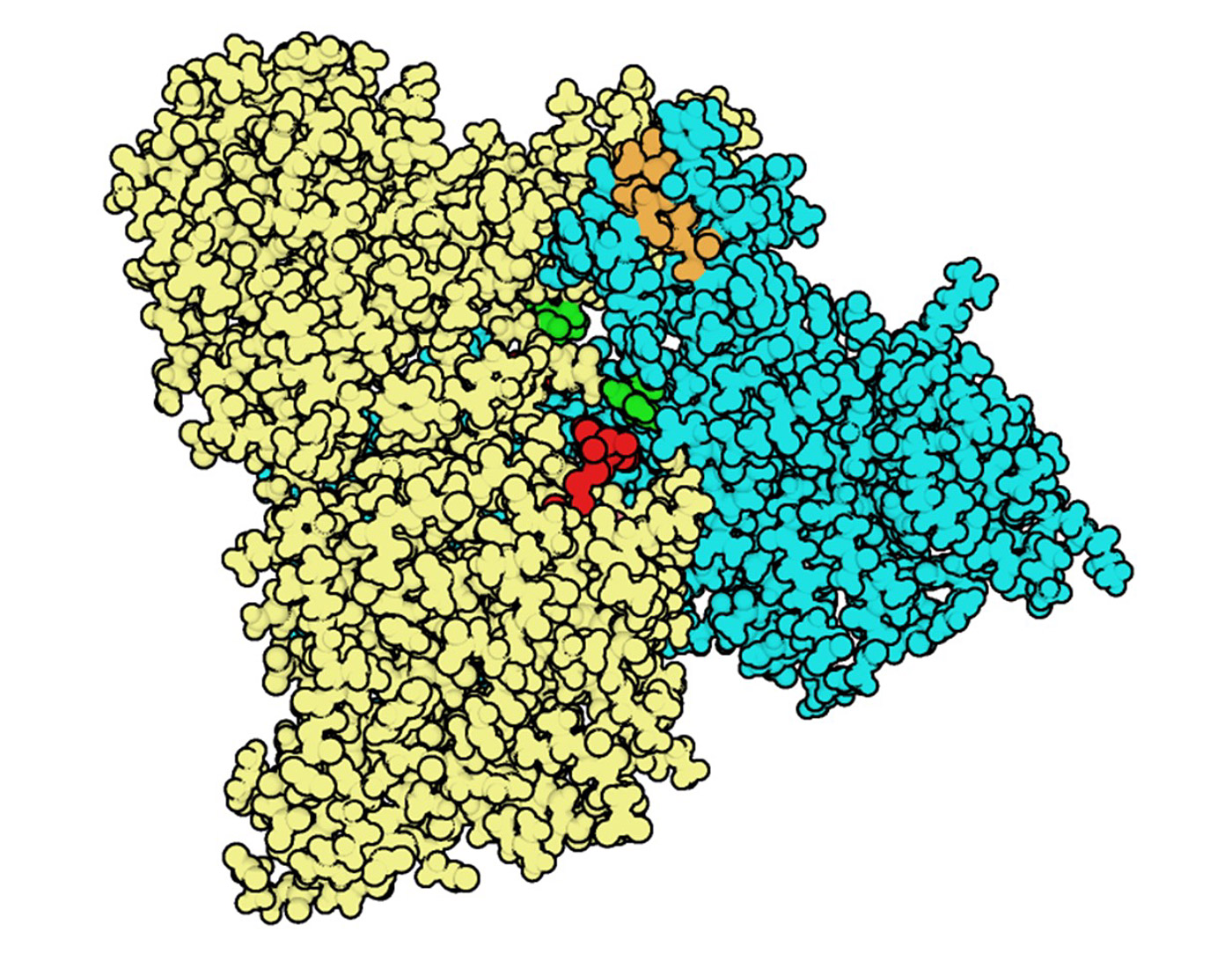 Substrate specificity of NudC - a NUDIX enzyme with NAD-decapping ...