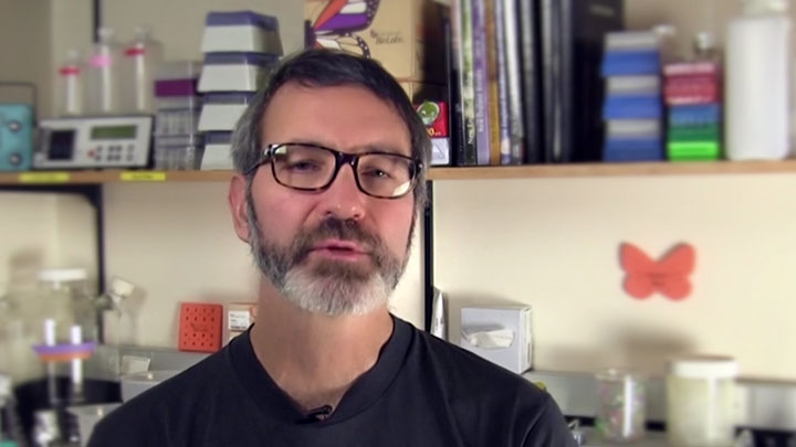 Restriction Enzyme Digestion | NEB