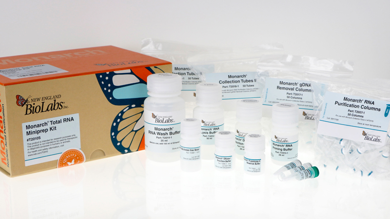 Monarch Total RNA Miniprep Kit (NEB #T2010) | NEB