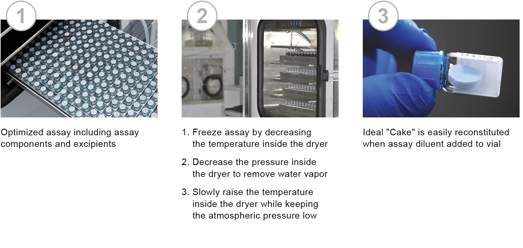 What is Lyophilization? | NEB