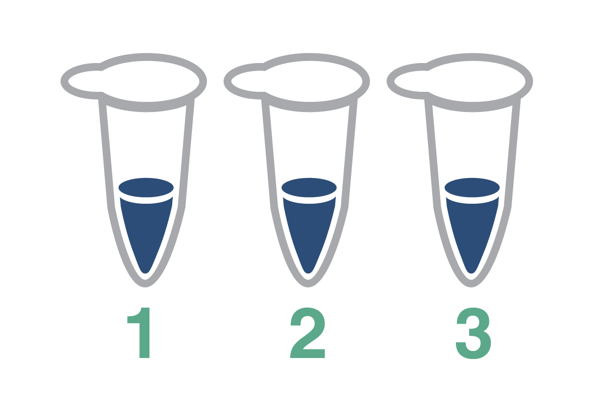 Proven tips for PCR primer design | NEB
