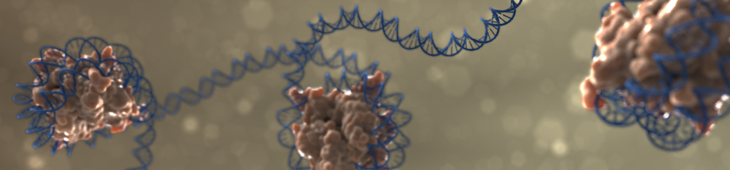 Methylation Sensitive and Methylation Dependent Restriction Enzymes for ...