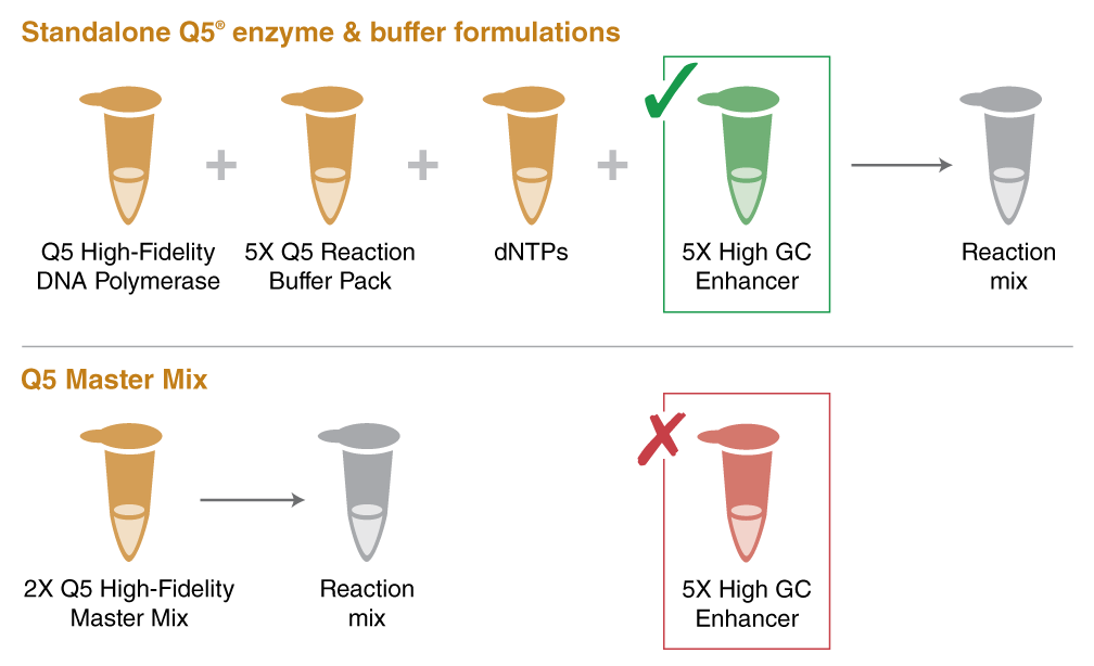 When and how should I use the Q5® High GC Enhancer? | NEB