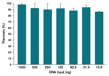 Monarch® Spin RNA Cleanup Kit (10 μg) | NEB