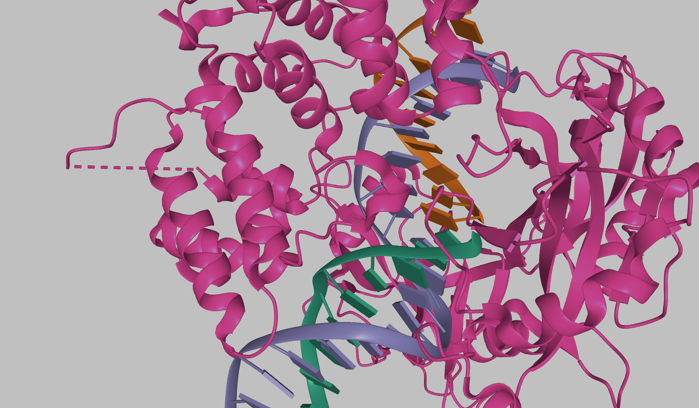 Lohman Lab | NEB