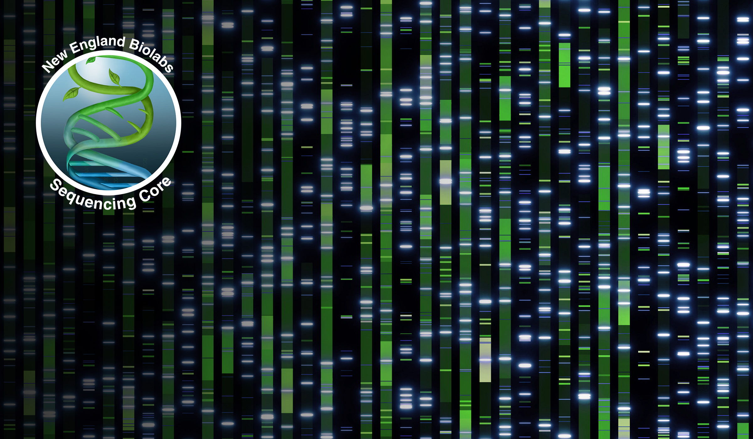 Sequencing Core Facility | NEB