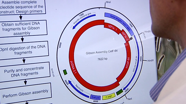 Gibson Assembly® | NEB