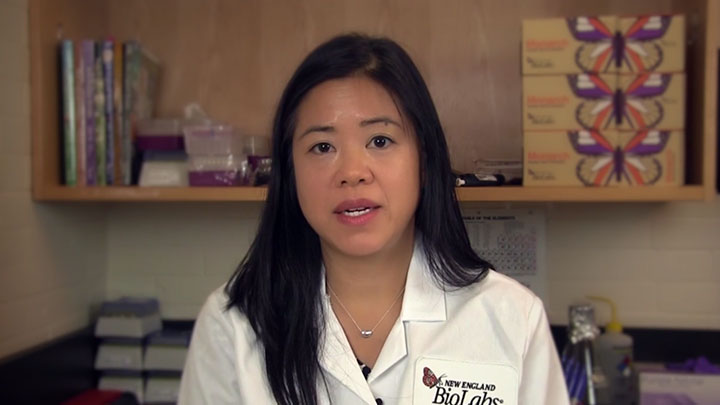 Library Preparation for Illumina | NEB