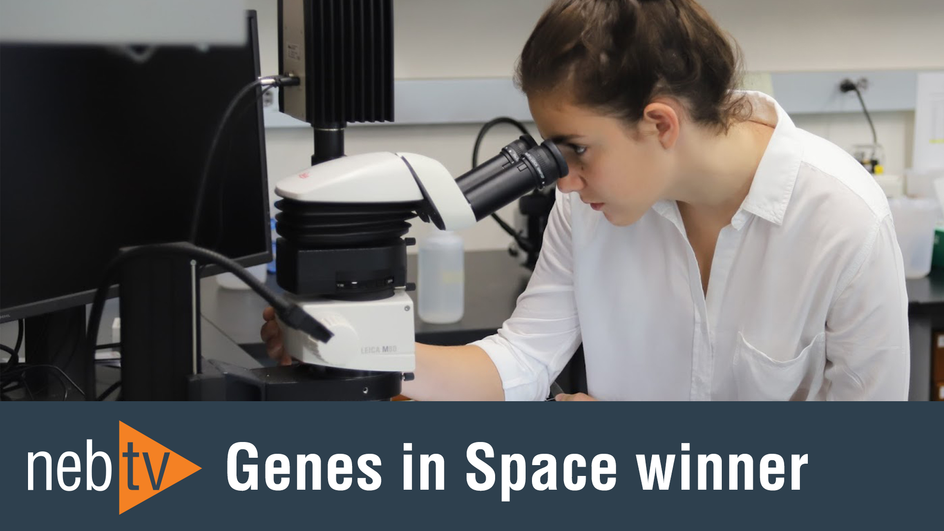 Exploring the effects of aging in space | NEB