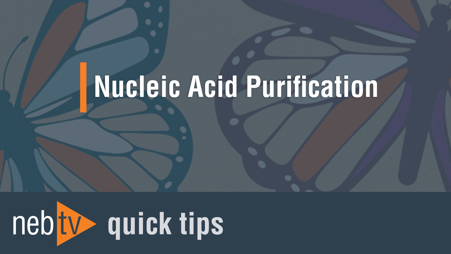 Quick Tips - How do I apply my elution buffer to the Monarch® nucleic ...