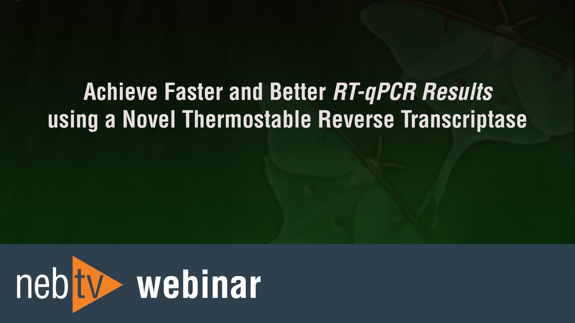 cDNA Synthesis & Reverse Transcriptases | NEB