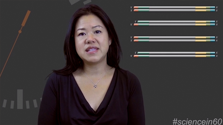 DNA Fragmentation & RNA Fragmentation | NEB