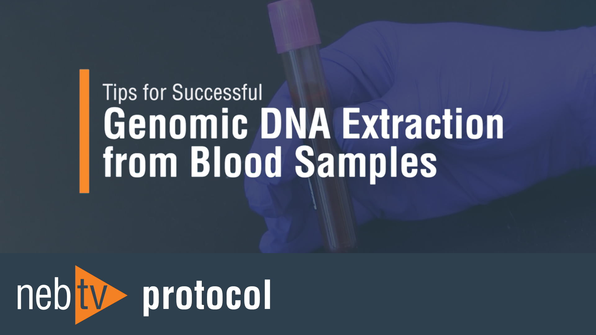 Protocol for Genomic DNA Extraction from Blood Stabilized with Monarch ...