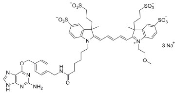SNAP-Surface® 649 | NEB
