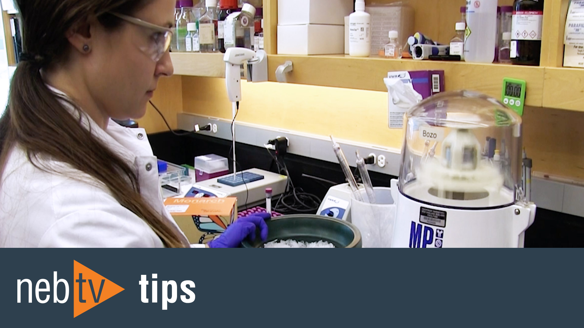 Tips for successful RNA Cleanup using the Monarch® RNA Cleanup Kits | NEB