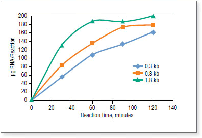 HiScribe® T7 High Yield RNA Synthesis Kit | NEB