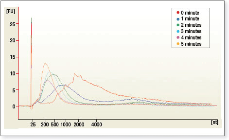 NEBNext® Magnesium RNA Fragmentation Module | NEB