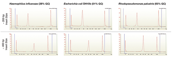 NEBNext® Fast DNA Fragmentation & Library Prep Set for Ion Torrent® | NEB