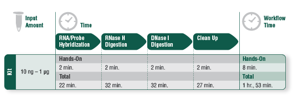 NEBNext® rRNA Depletion Kit (Human/Mouse/Rat) | NEB