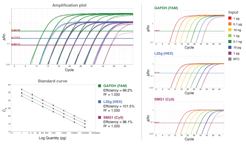 Luna® Universal Probe One-Step RT-qPCR Kit | NEB