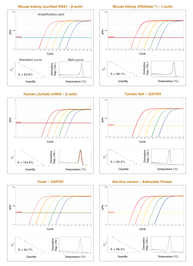 Luna® Universal One-Step RT-qPCR Kit | NEB