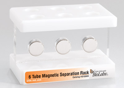 6-Tube Magnetic Separation Rack | NEB