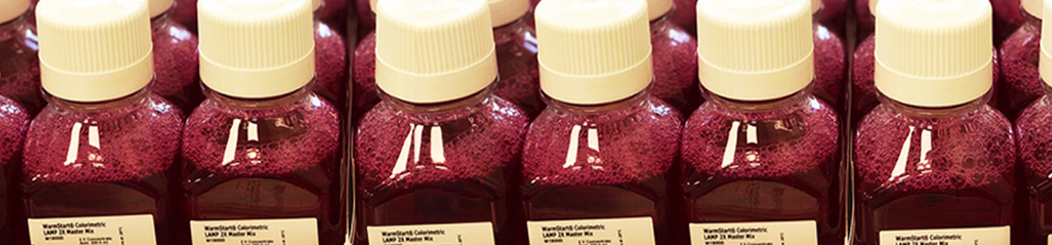 Supporting LAMP for Molecular Diagnostics | NEB