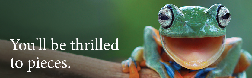 NEBNext® Ultra™ II for DNA Library Prep | NEB