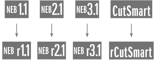 NEBuffer™ System: Same high performance, now with Recombinant Albumin ...
