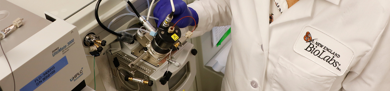 Glycomics and glycoproteomics | NEB